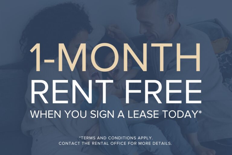 Dominik Apartments | Luxury Apartment rentals in Montreal, QC