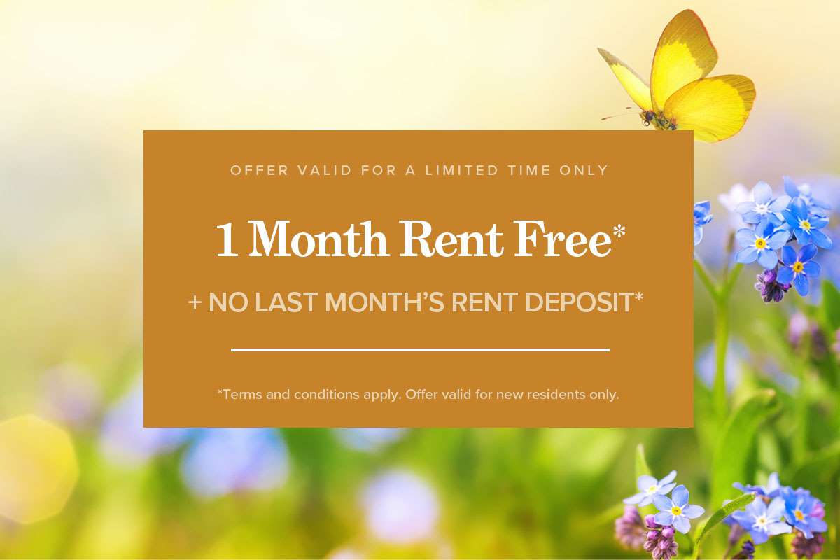 Apartments for Rent in Mississauga | Rental Apartments Mississauga