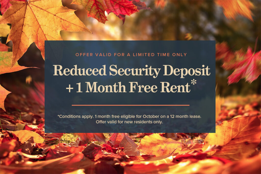 Lakeview Pointe Apartment For Rent | CAPREIT